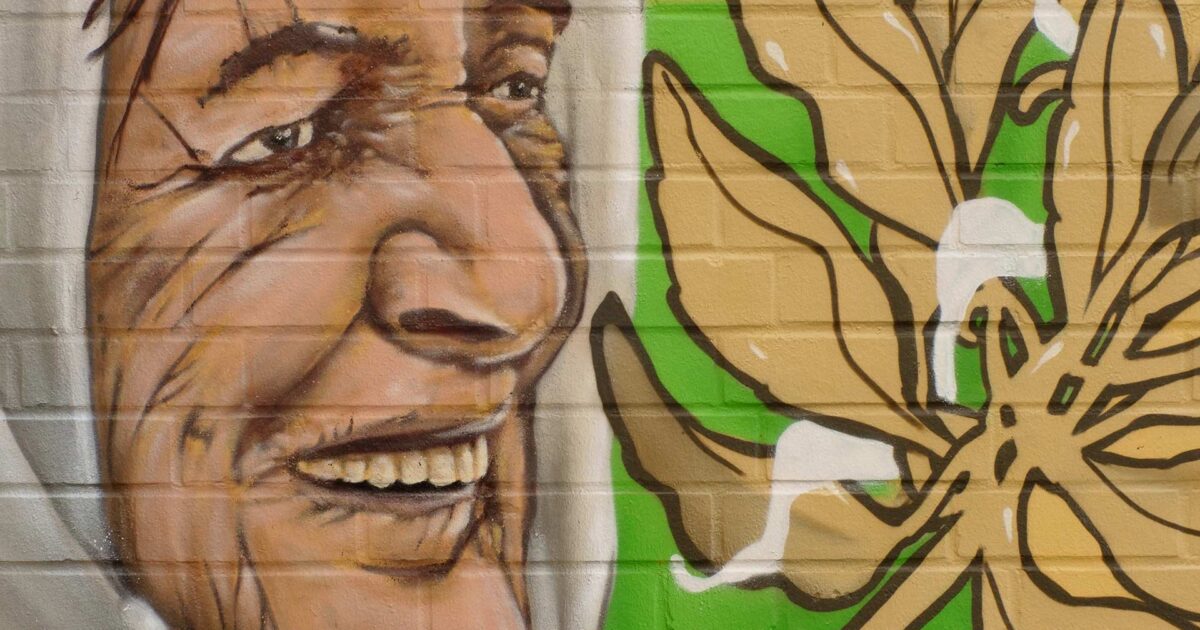 Graffiti Auftrag hanova wohnen PLUS